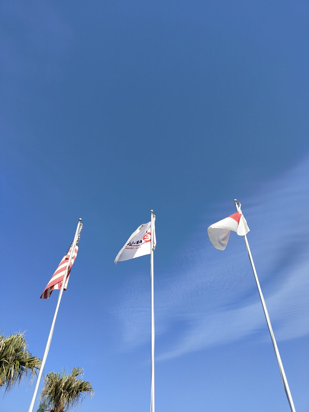 定期的身体のケアの必要性、予防ケア | BUGUS（バグース）訪問鍼灸治療院 | 奈良市・天理市・大和郡山市・田原本町・橿原市